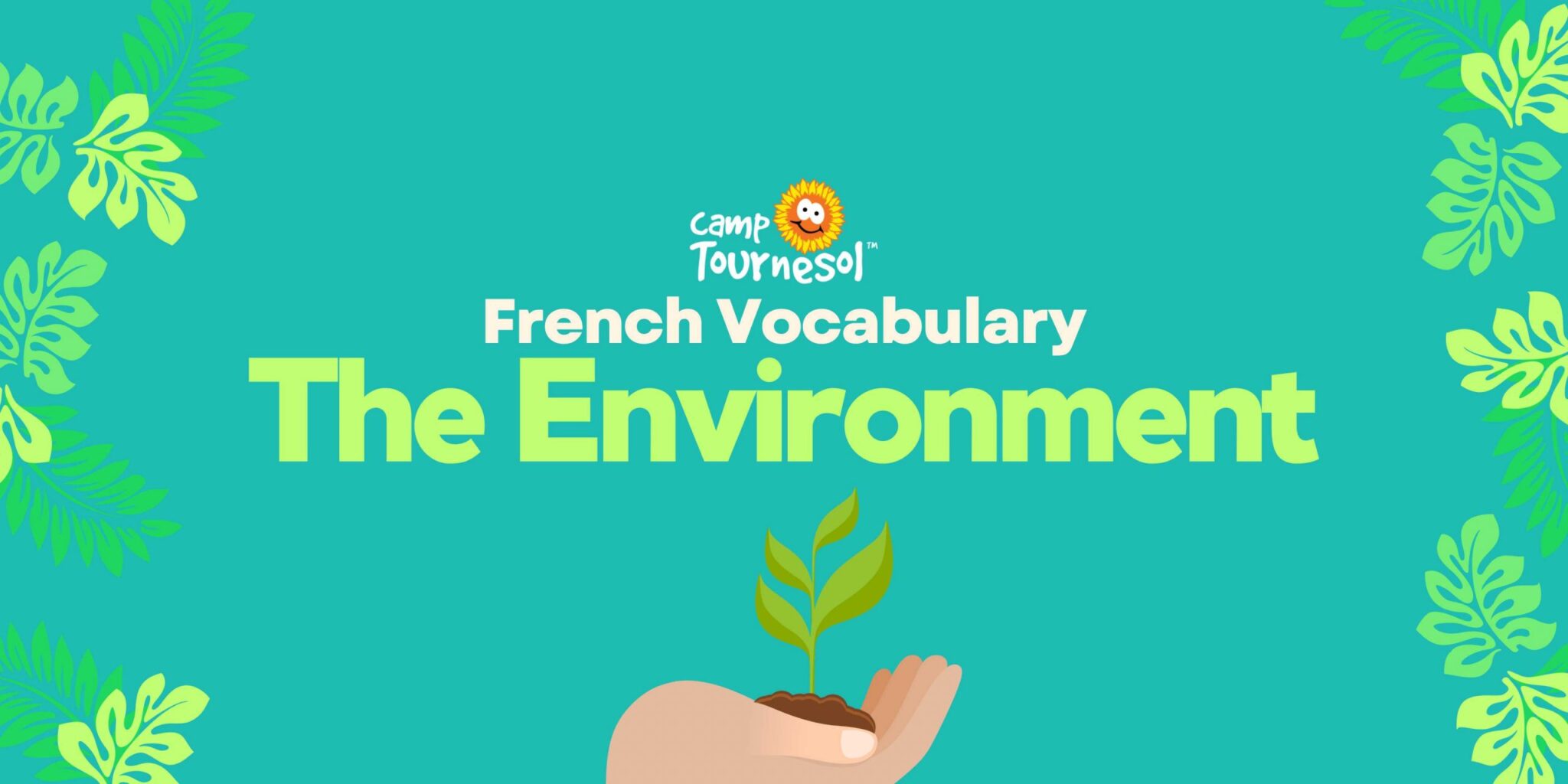 Useful French Vocabulary: The Environment - Camp Tournesol