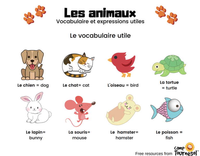 FREE French Workbook 'Les animaux'! - Camp Tournesol