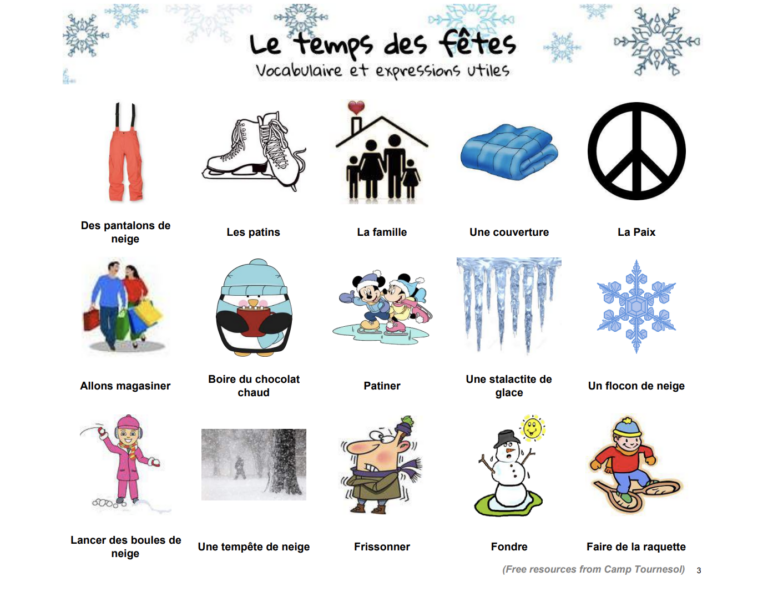 FREE French Workbook: Winter - Camp Tournesol